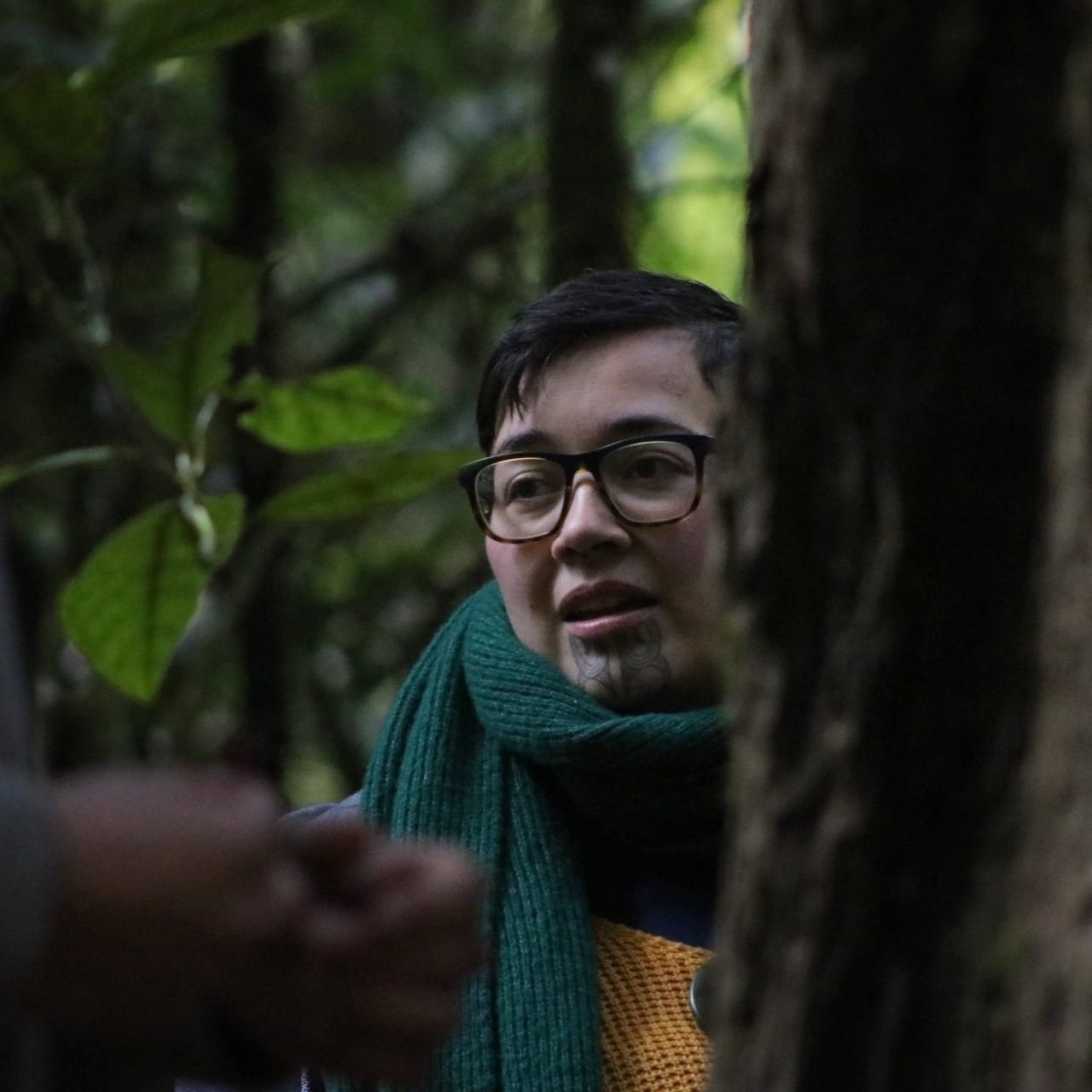 Te Whare Hangahanga Tapui Limited | PledgeMe