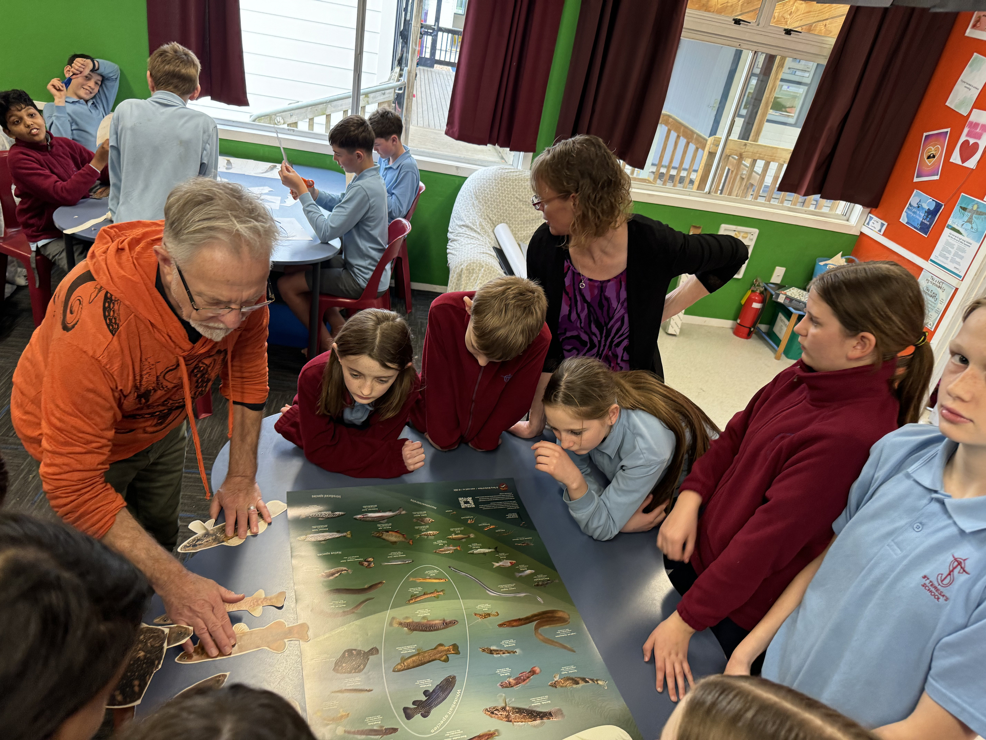 The Waitī project - Freshwater Life Poster for Schools | PledgeMe