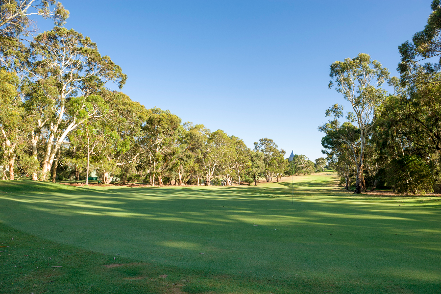 Tea Tree Gully Golf Club Foundation | Australian Sports Foundation