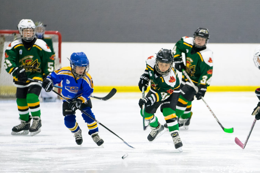 Save Penrith Ice RInk from Closing | Australian Sports Foundation