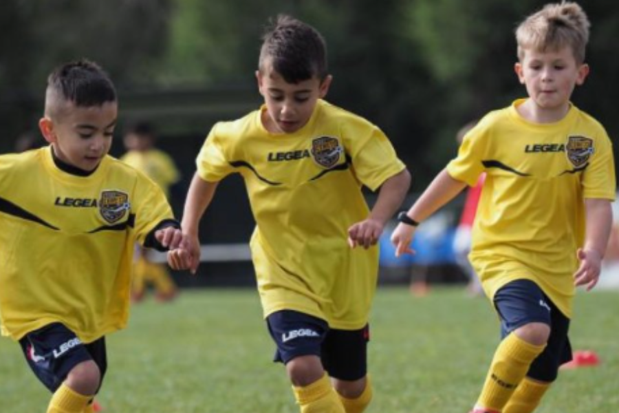 Casey Comets - Australian Sports Foundation