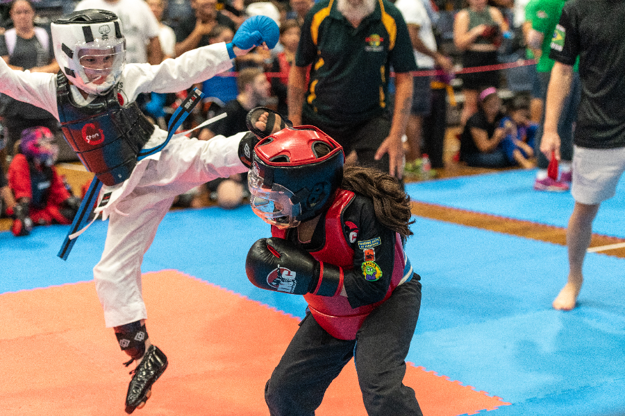 Lucy's US Open And Japan World Martial Arts Championships - June And ...