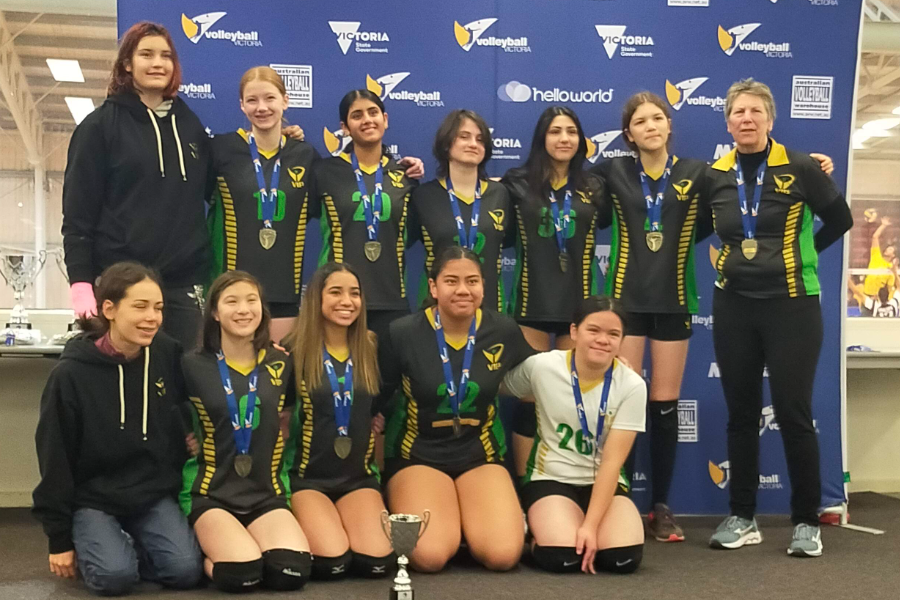 Help VIP raise funds for a Serving Machine, Jump Boxes and New Balls ...