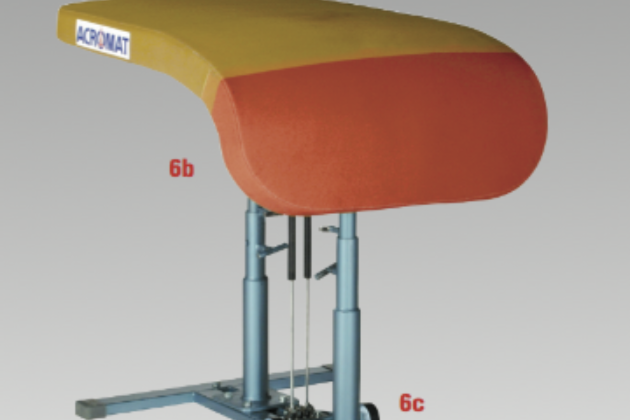 New Vaulting Table | Australian Sports Foundation