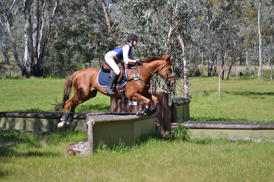 Williamstown Horse and Pony Club - Australian Sports Foundation