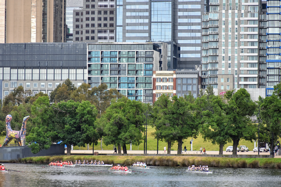 Hawthorn Rowing Club - Australian Sports Foundation