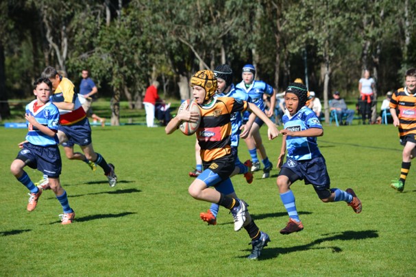 Tigers Clubhouse | Australian Sports Foundation