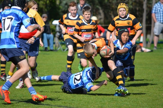 Tigers Clubhouse | Australian Sports Foundation