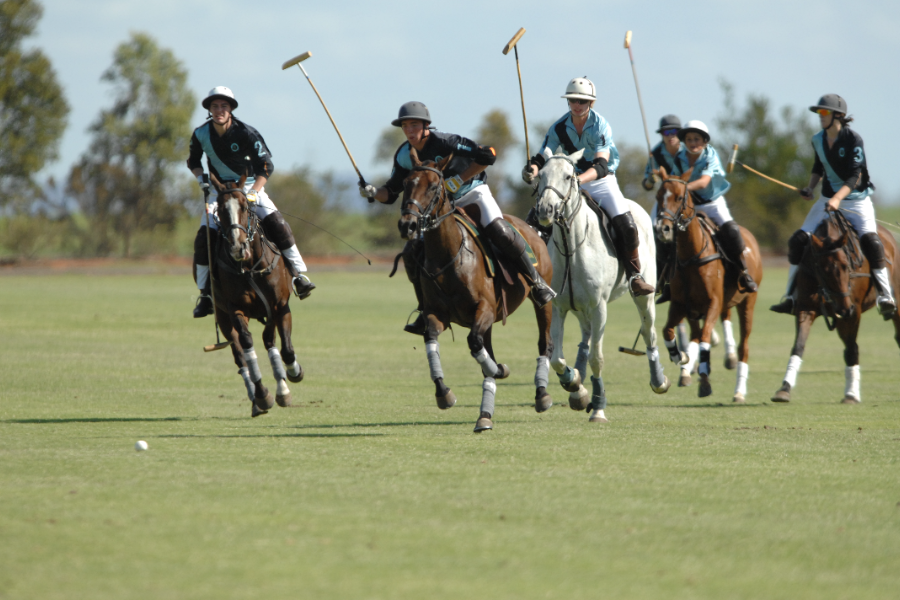 Geelong Grammar Polo Club | Australian Sports Foundation