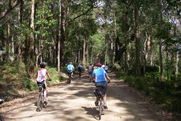 Mogo Gold Fields Trek - Cycling