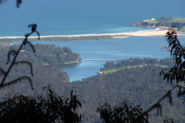 Wallaga Beach - Beaches