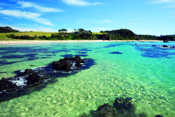 Narooma Surf Beach - Beaches