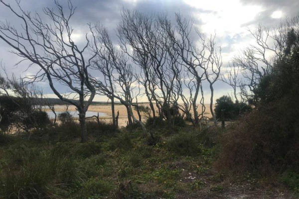 Dalmeny to Potato Point via Lake Brou - Walks and trails