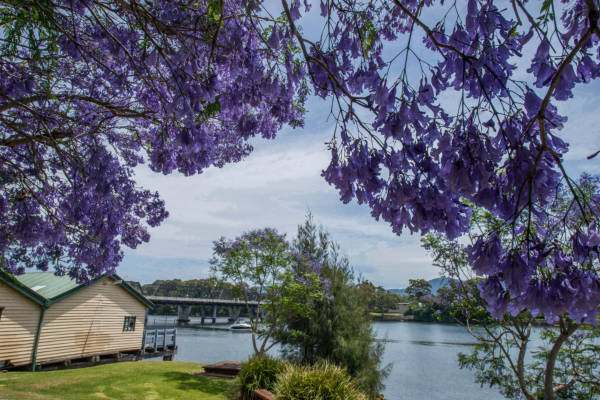 Nowra - Sydney to Batemans Bay