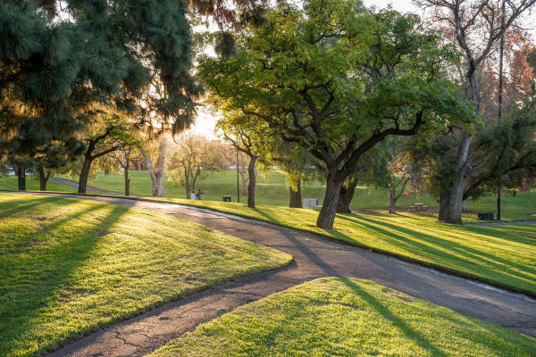 The Adelaide Park Lands