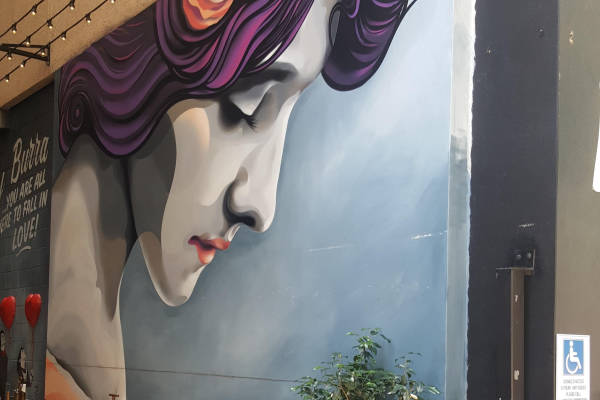 Lady Burra Brewhouse - Adelaide Fringe Street Art Explosion