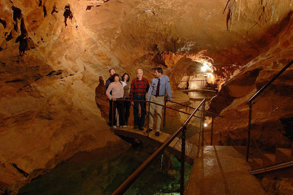 A Tour of Caves and Fossils.