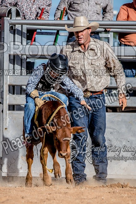 Alpha 4B 2014 Poddy Ride - Image Gallery - Rodeo - Purple Fairy Imagery