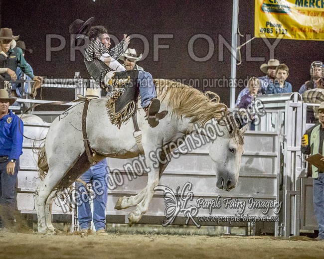 Alpha 4B 2014 Michael Doyle - Image Gallery - Rodeo - Purple Fairy Imagery