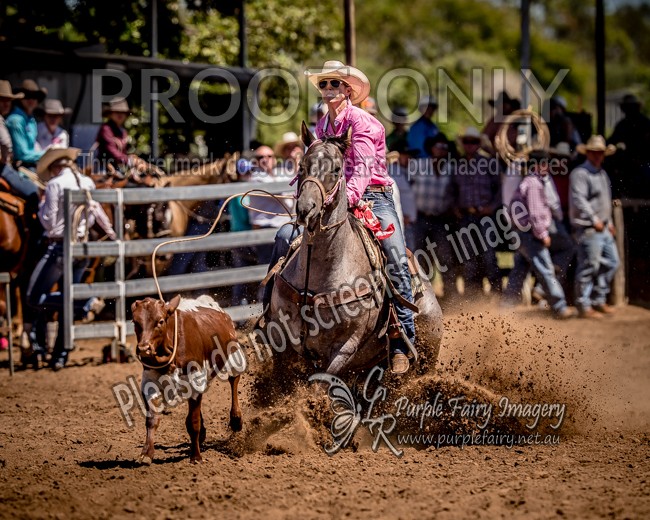 Renee Acton - Image Gallery - Rodeo - Purple Fairy Imagery