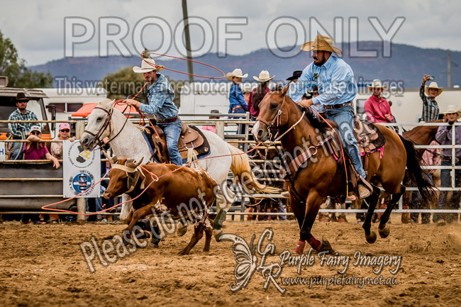 Wade Forster - Wrangler - Image Gallery - Rodeo - Purple Fairy Imagery