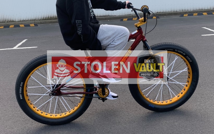 Stolen Bike - SE Bikes (SE Racing) PK Ripper (Fat Ripper) - Vault Protected