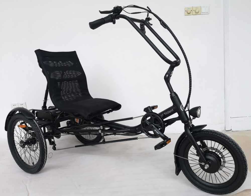 Stolen Bike - Other BF Trident semi-recumbent electric trike - Vault ...