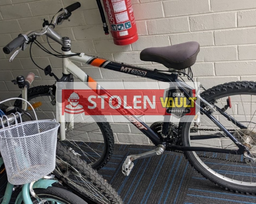 Stolen Bike - Other Learsport MT3000 Mountain Bike - Vault Protected