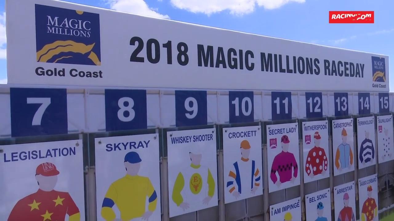 Magic Millions Barrier Draw | RACING.COM