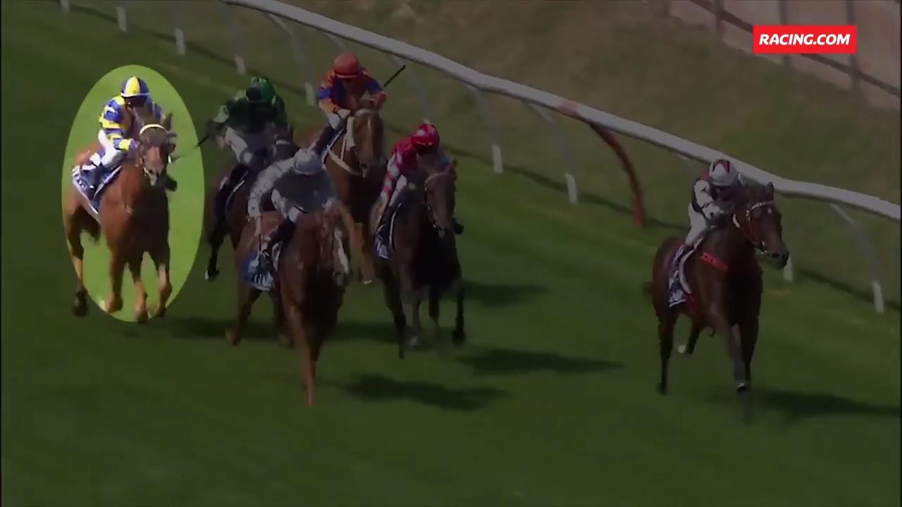 Meech suspended for 23-meetings | RACING.COM