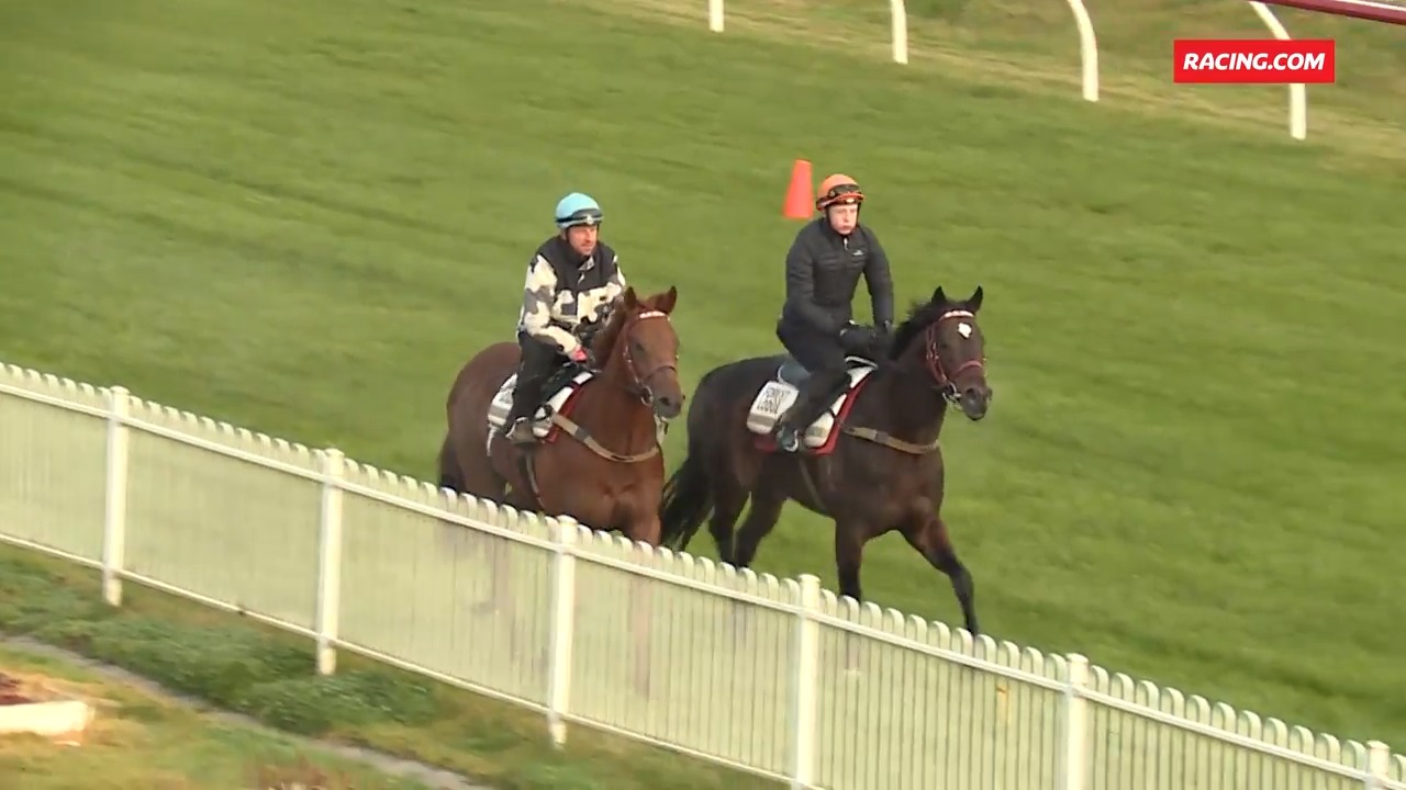 Nights Watch Tamasa update | RACING.COM