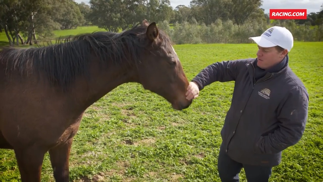 Johnnys Journey takes shape | RACING.COM