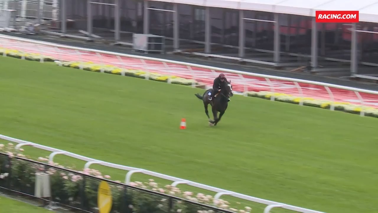 Kementari Yucatan gallop at The Valley | RACING.COM