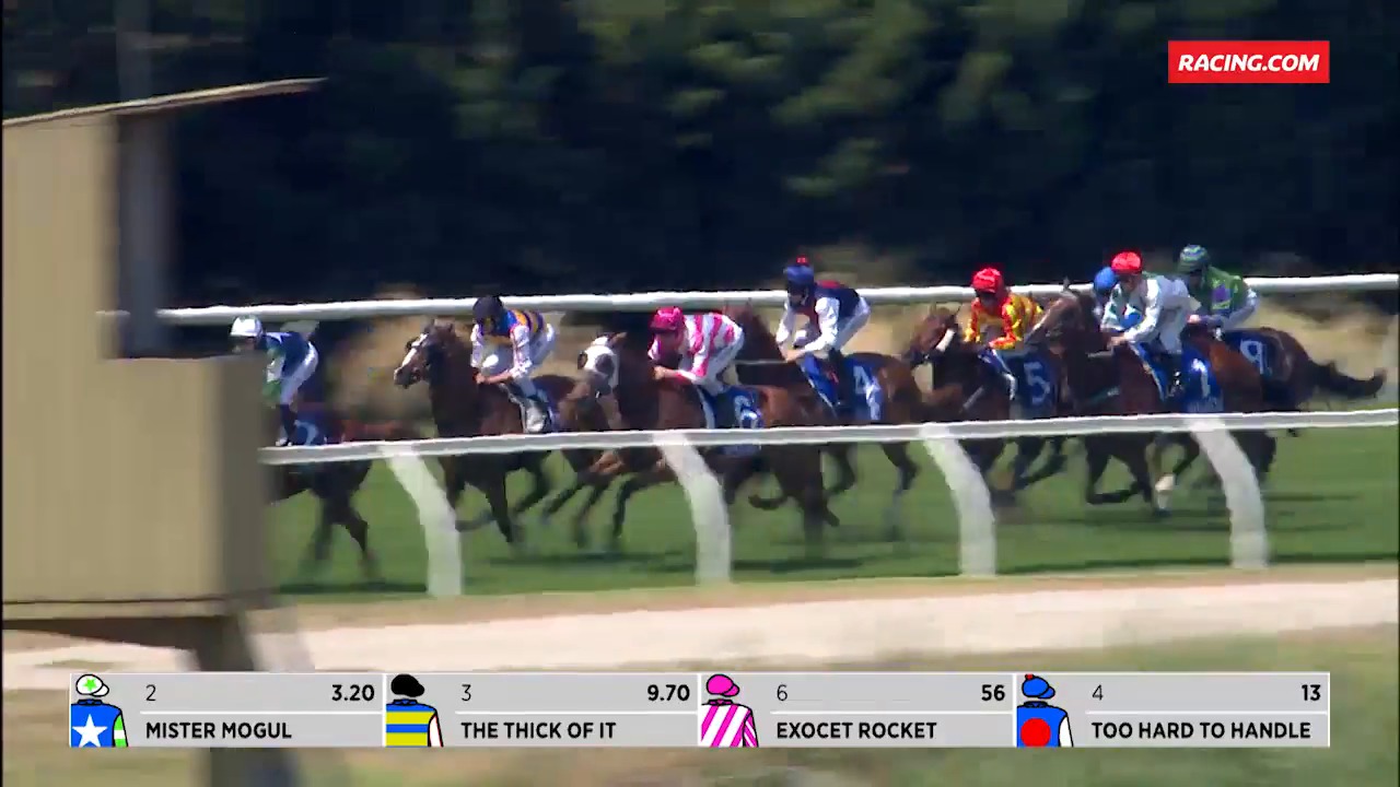 bet365 Yarra Valley Race 5 080119 | RACING.COM