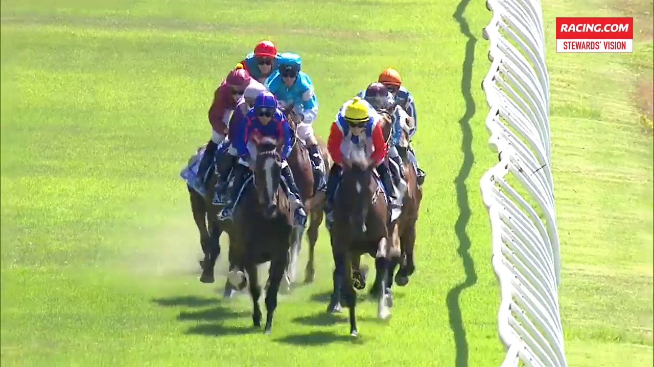 Hamilton Race 06-Stewards Vision-11-01-19 | RACING.COM