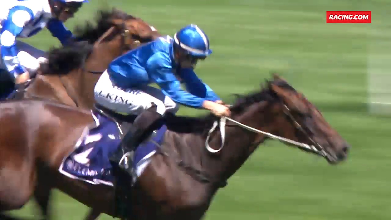 Flemington Race 4 Mick Price 190119 | RACING.COM