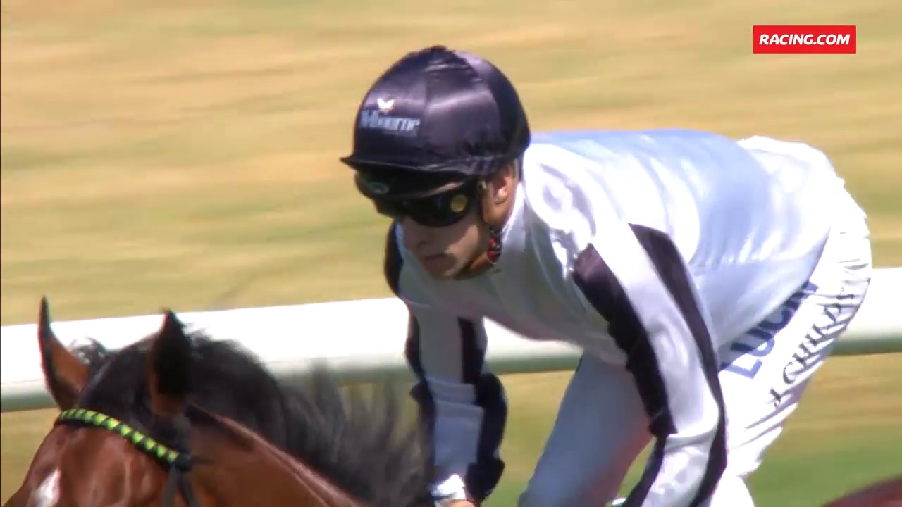 Ladbrokes Park Lakeside Race 1 Archie Alexander 230119 | RACING.COM