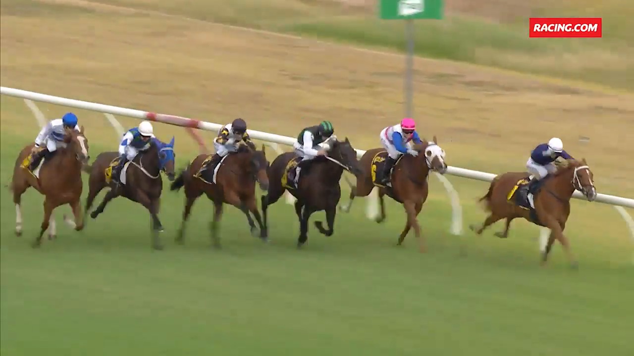 Morphettville Parks Race 6 John MacMillan 260119 | RACING.COM