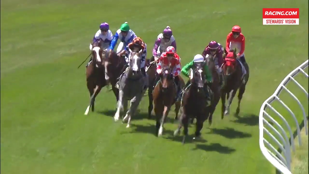 Kyneton Race 01-Stewards Vision-02-02-19 | RACING.COM