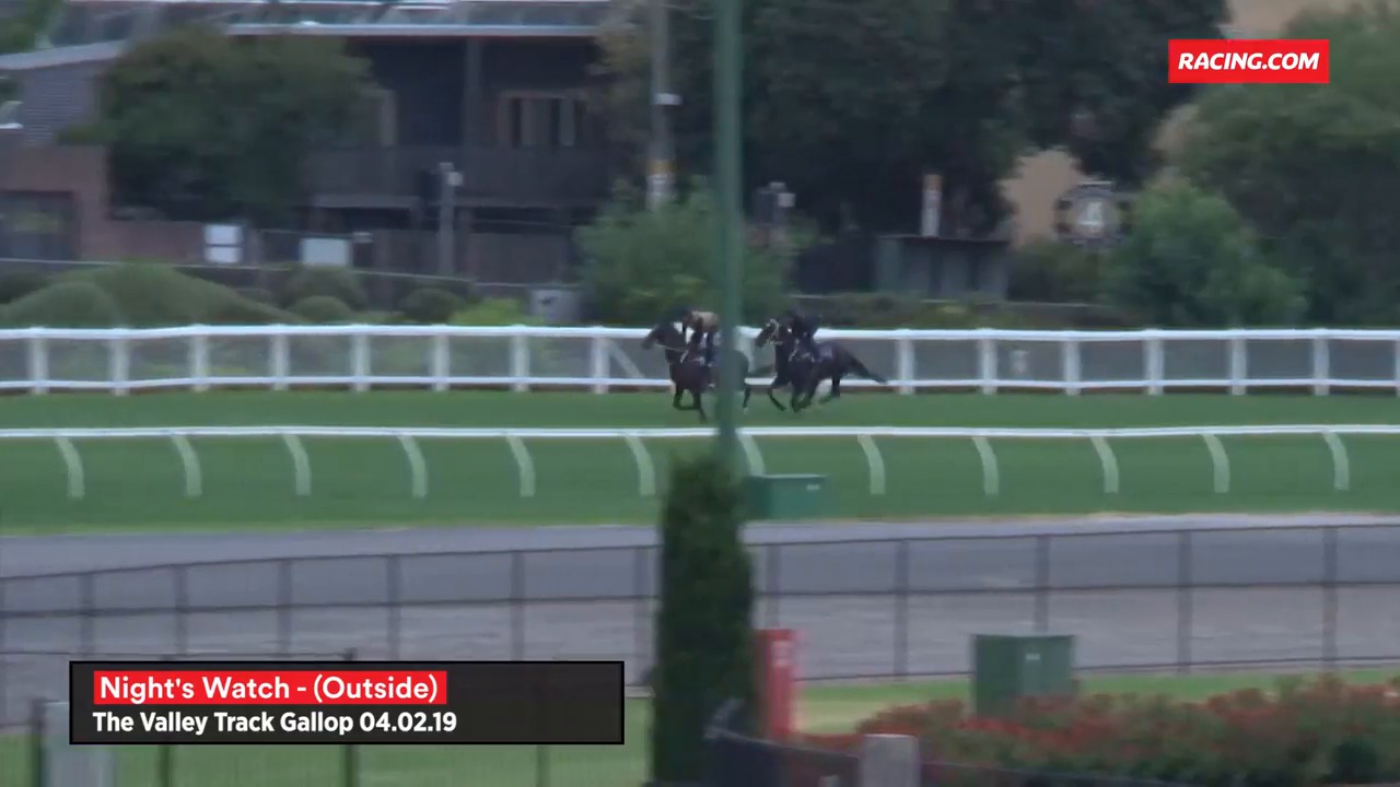 Trackwork - Ciaron Maher | RACING.COM