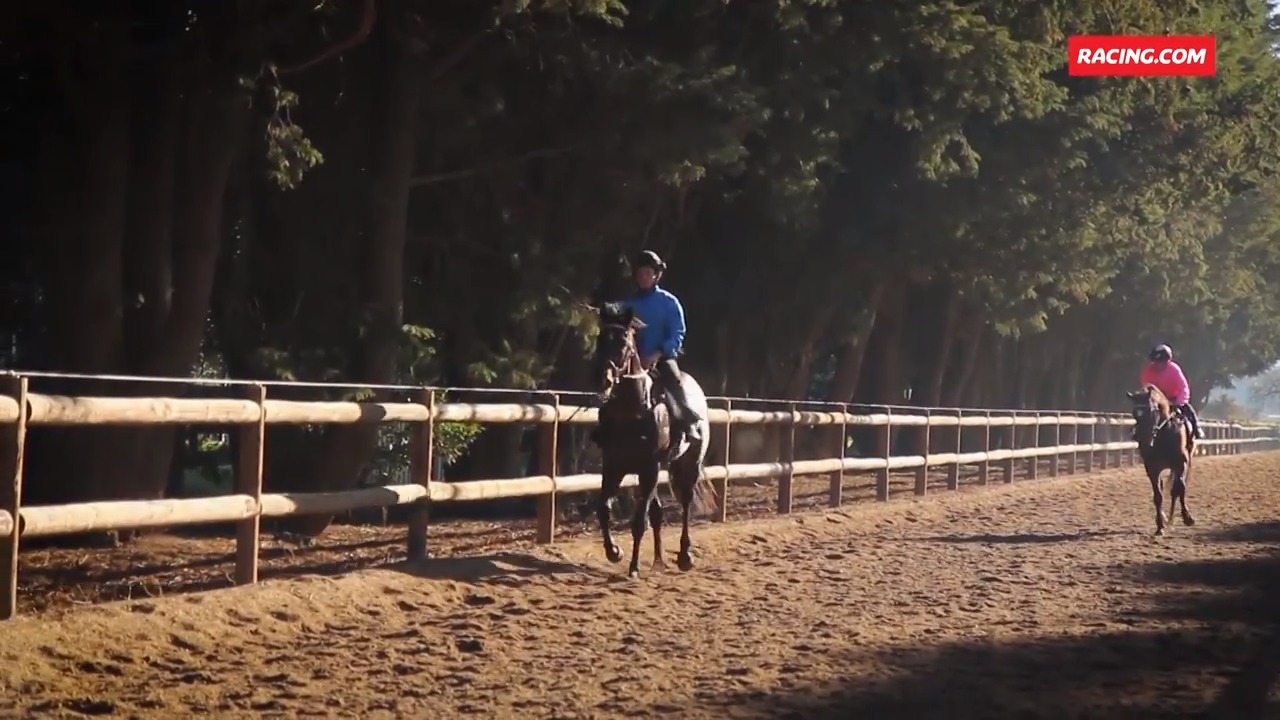 Ciaron Maher - Forest Lodge | RACING.COM