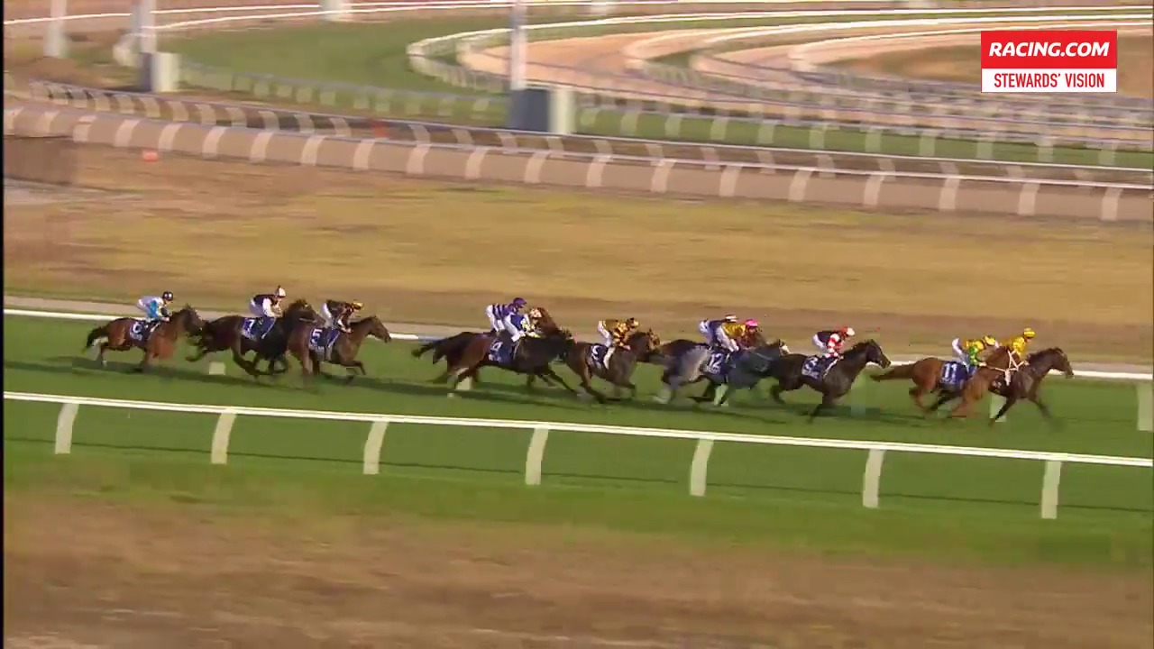 Pakenham Race 03-Stewards Vision-07-02-19 | RACING.COM
