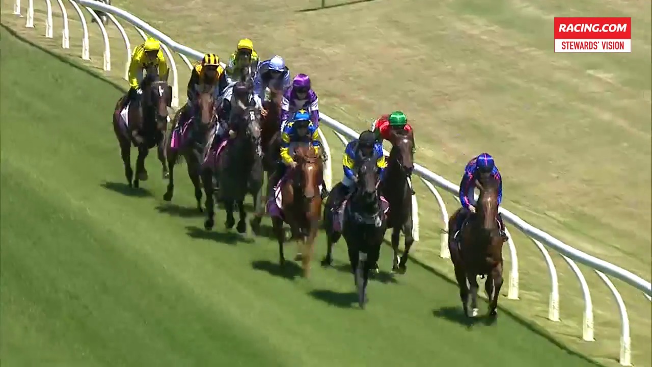 Yarra Valley Race 01-Stewards Vision-23-02-19 | RACING.COM
