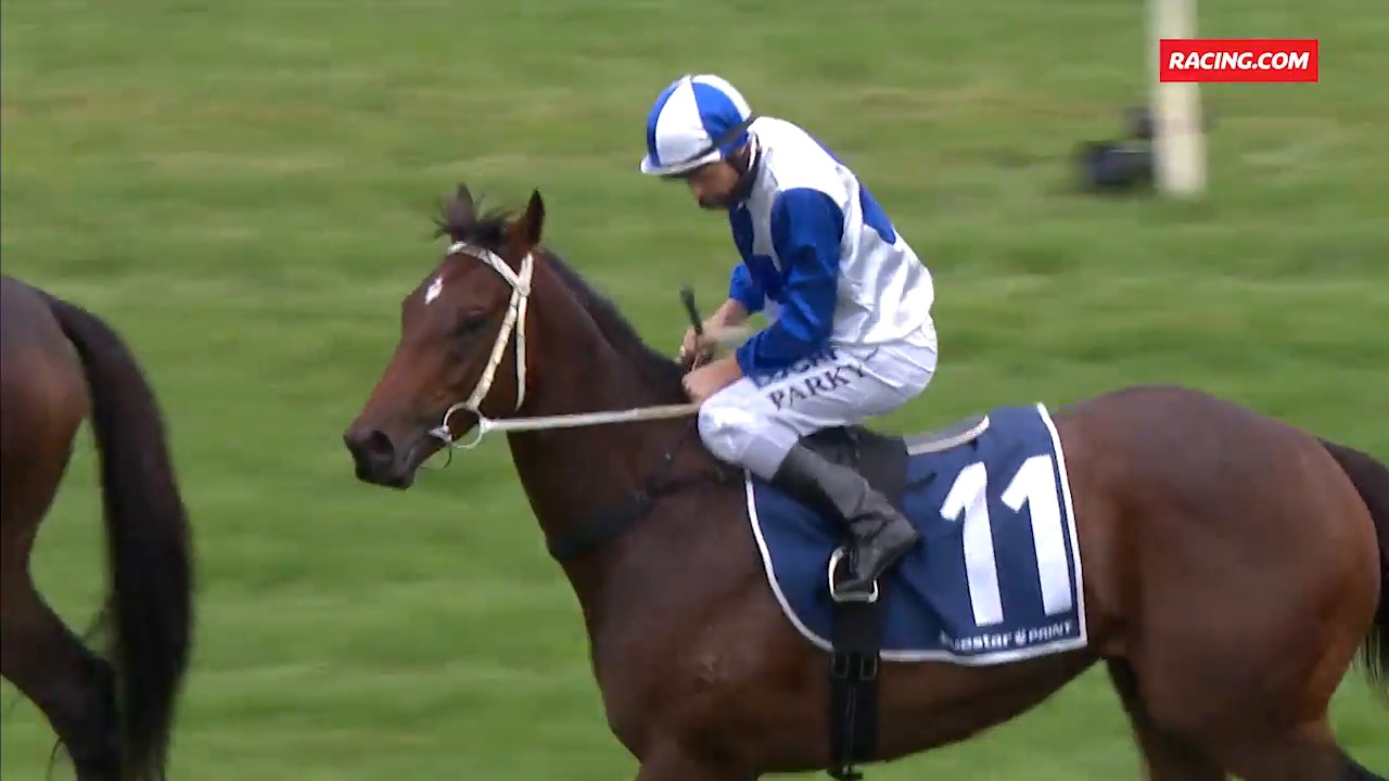 Ladbrokes Park Hillside Race 2 Sharyn Trolove 220419 | RACING.COM