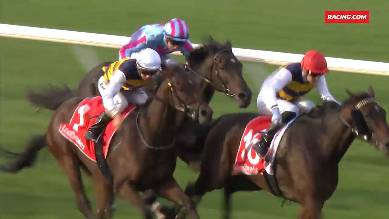 Ladbrokes Park Hillside Race 7 Archie Alexander 220419 | RACING.COM