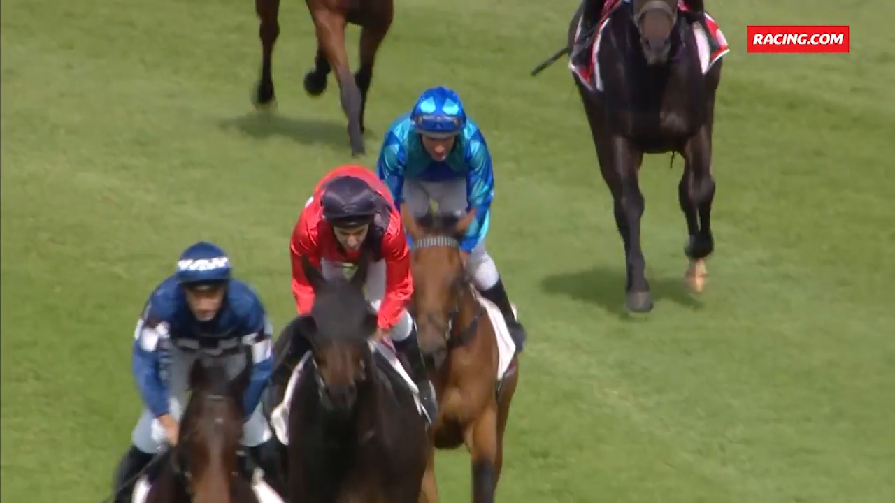 Archie Alexander on Clearlys retirement | RACING.COM