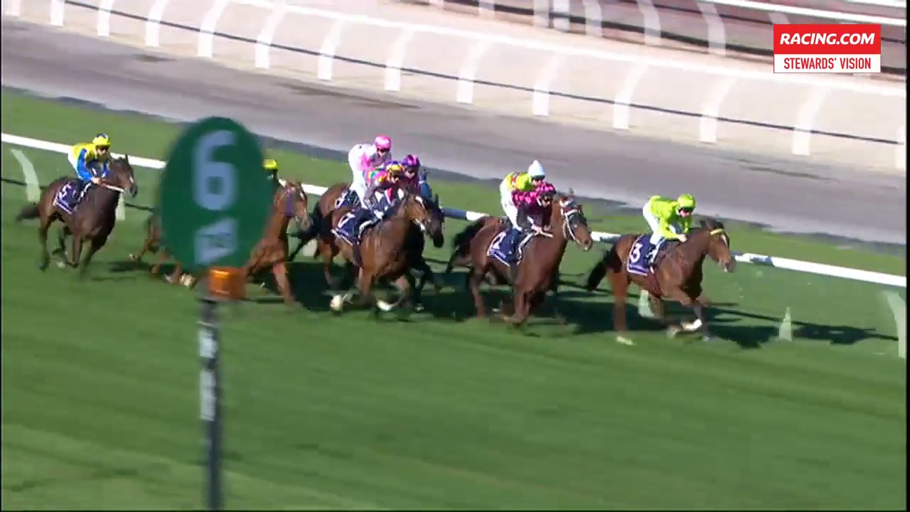 Flemington Race 02-Stewards Vision-08-06-19 | RACING.COM