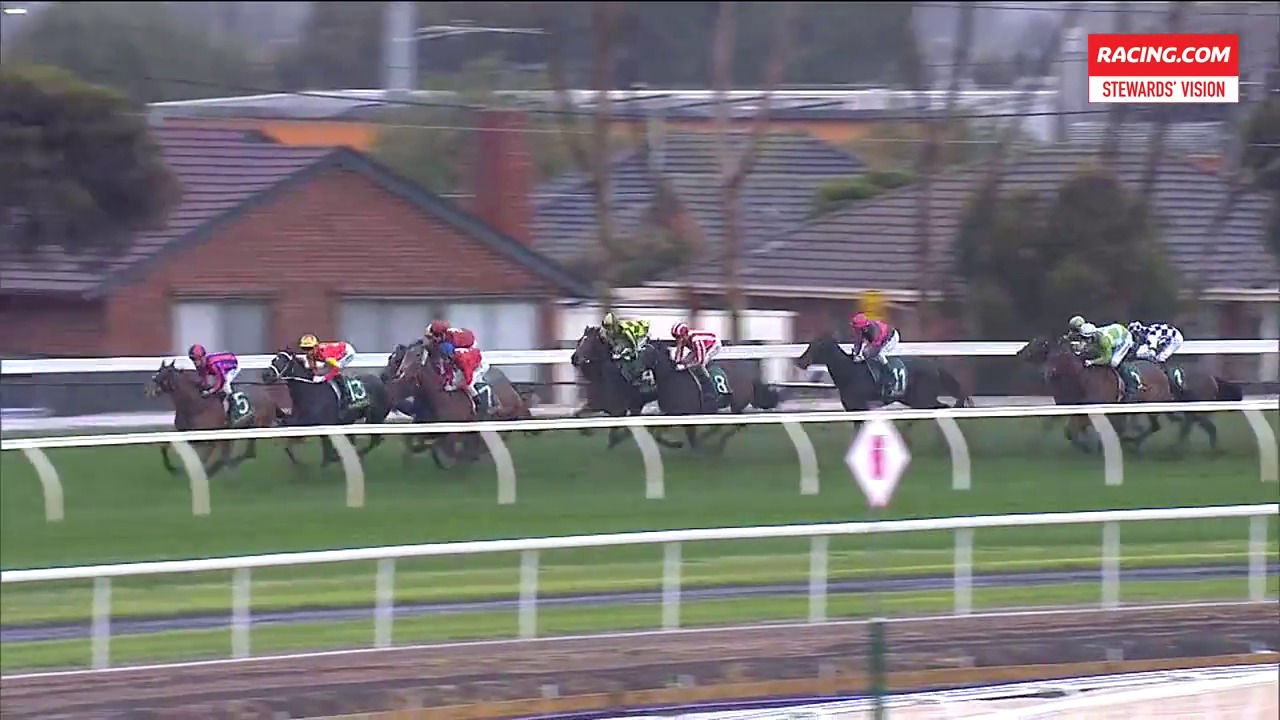 Geelong Race 09-Stewards Vision-14-06-19 | RACING.COM
