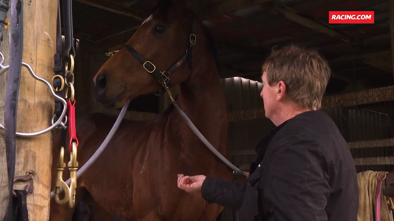 Jungle Edge brings back memories for Mick Bell | RACING.COM