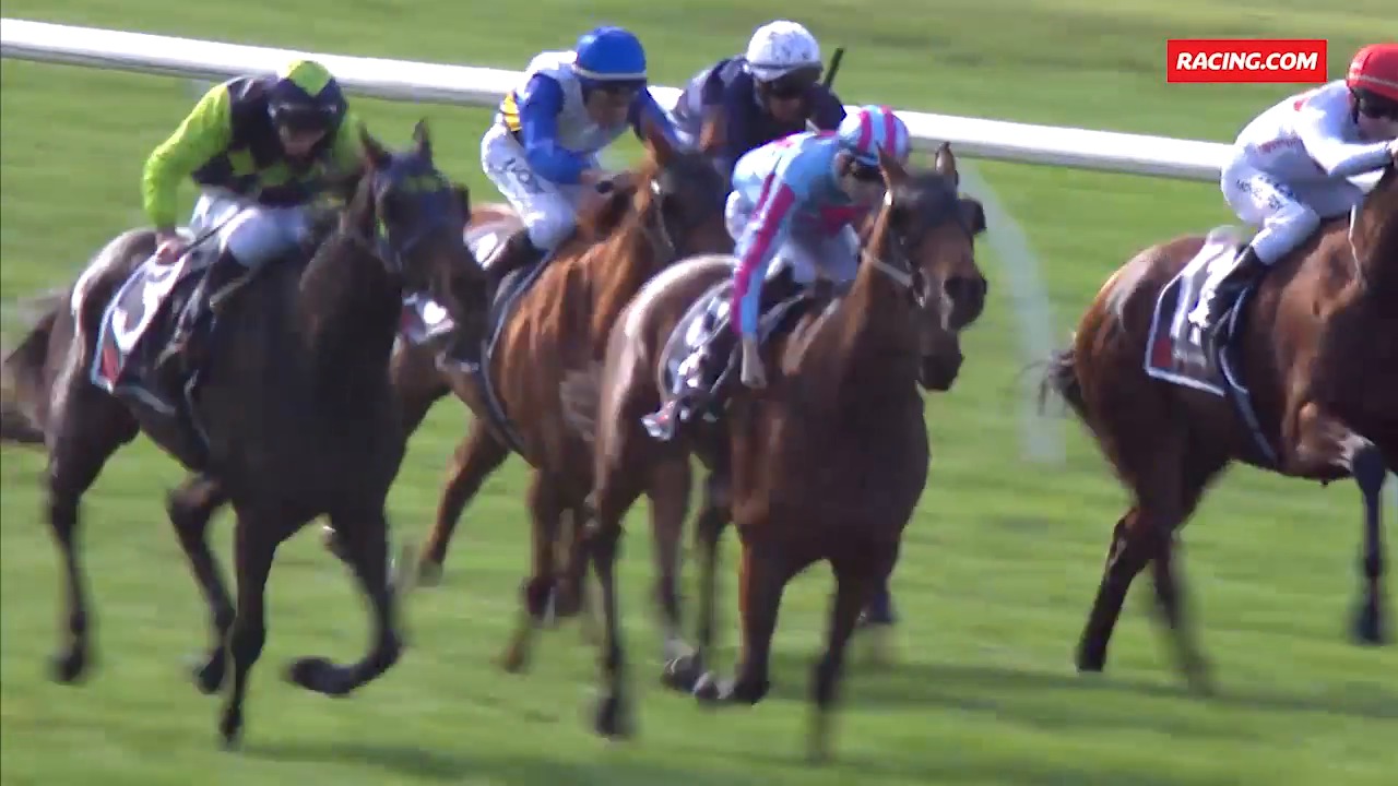 Ladbrokes Park Hillside Race 2 David Eustace 190619 | RACING.COM